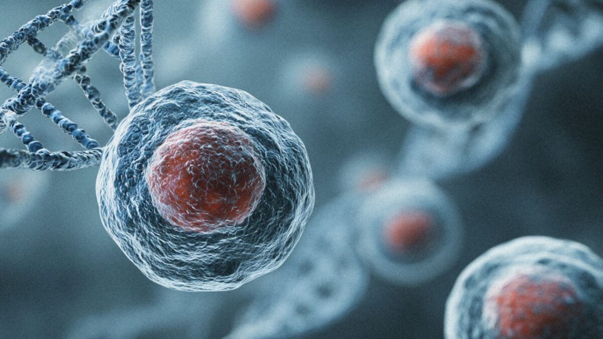 FDA Streamlines Cell Gene Therapy Development: New Guidelines Cut ...